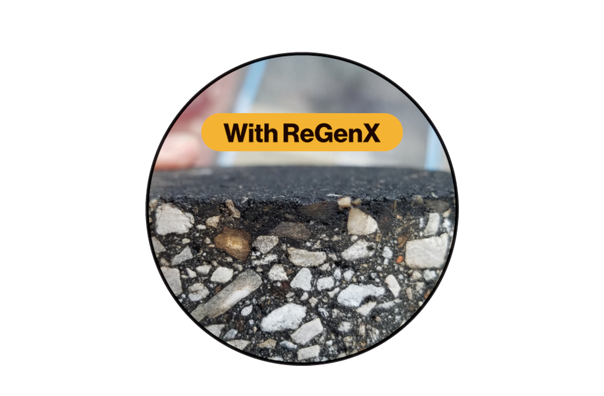 ReGenX_web-better - Blacklidge